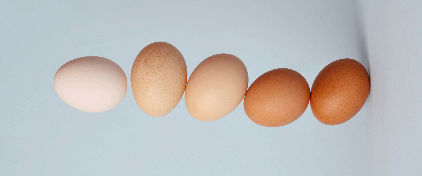 Egg Freezing 101: What You Need to Know – OVUM