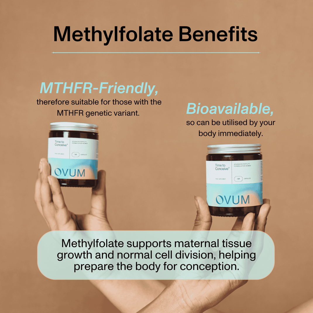 Pre-Conception and Ovulation Support Fertility Supplement – OVUM